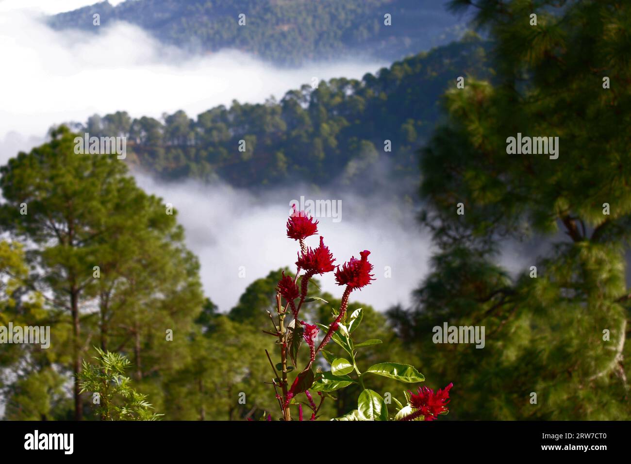 Nature never disappoints Stock Photo - Alamy