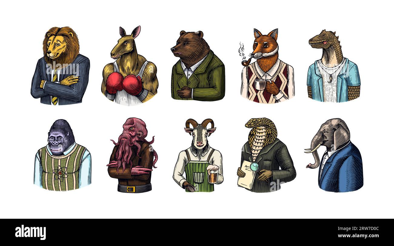 Grizzly Bear, Octopus, t-rex dinosaur, Elephant, Indian cobra snake ...