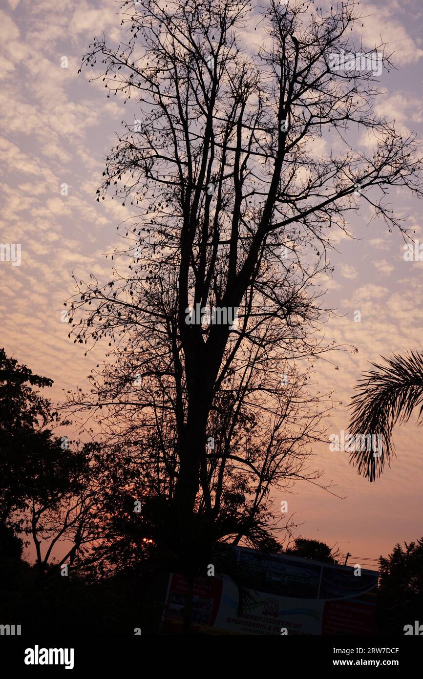 The best time to plant a tree was 20 years ago. The second best time is ...