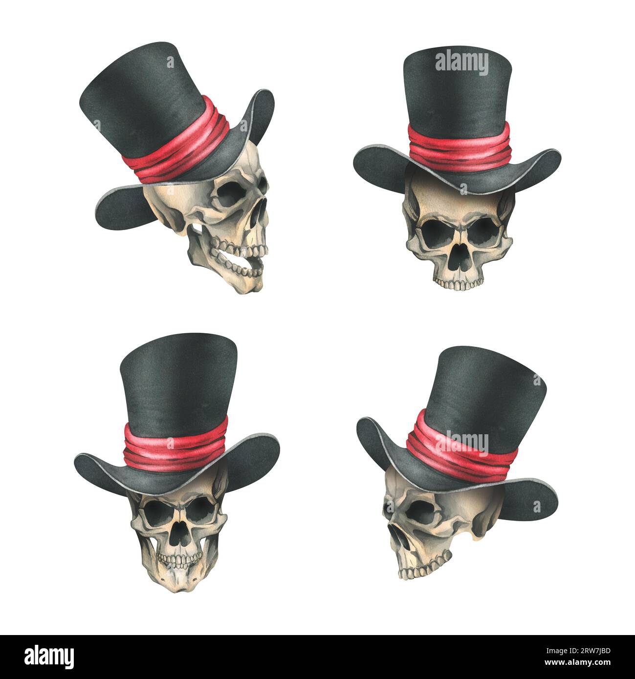 A human skulls in a black top hat with a red ribbon different views ...