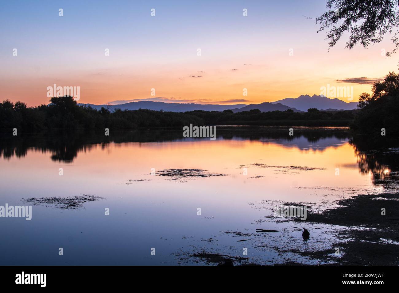 Incredible Panoramic Photo Of The Lower Salt River At Sunrise During ...