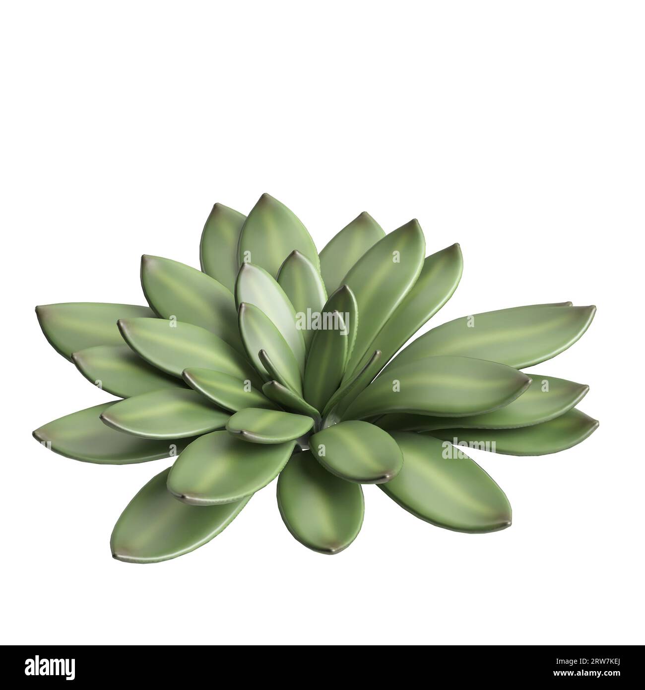 3d illustration of stone lotus plant isolated white background Stock ...