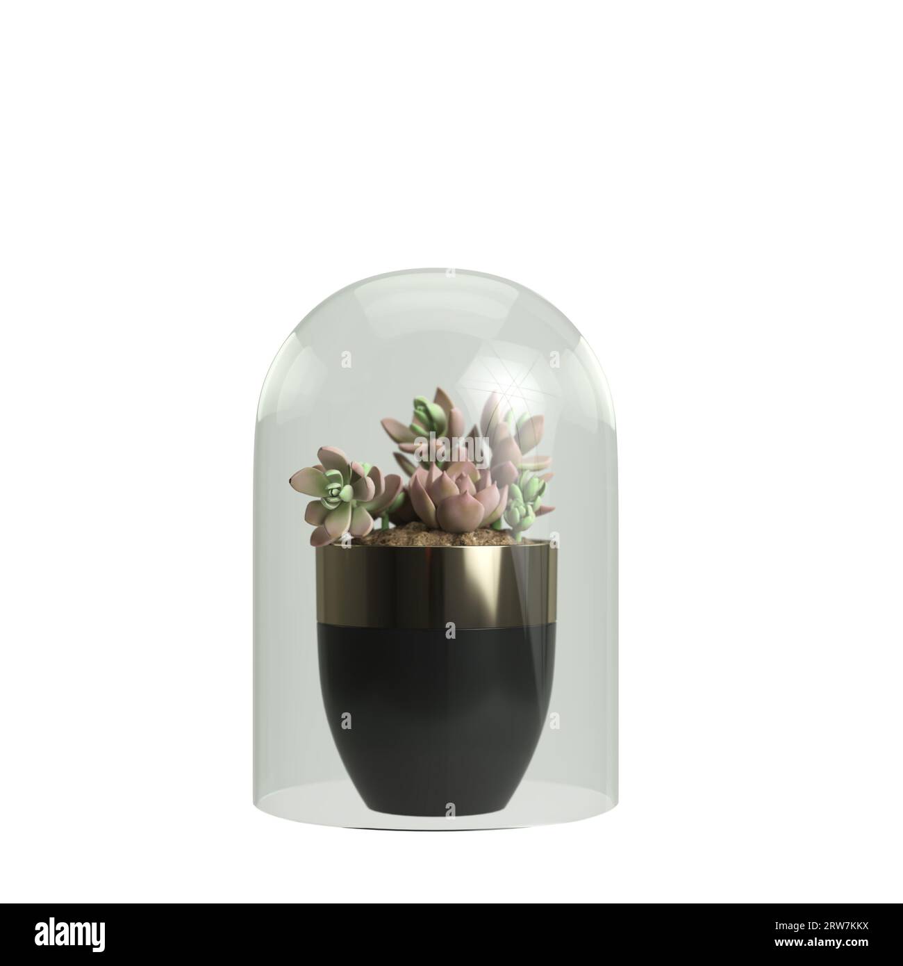 3d illustration of potted stone lotus plant isolated white background ...