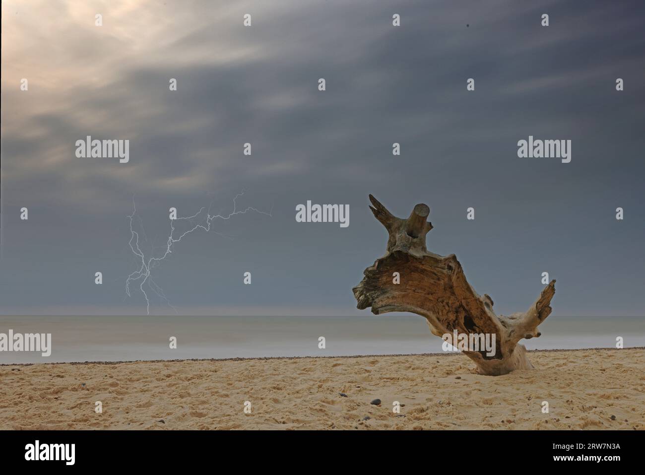 Lightning hitting a tree hi-res stock photography and images - Alamy