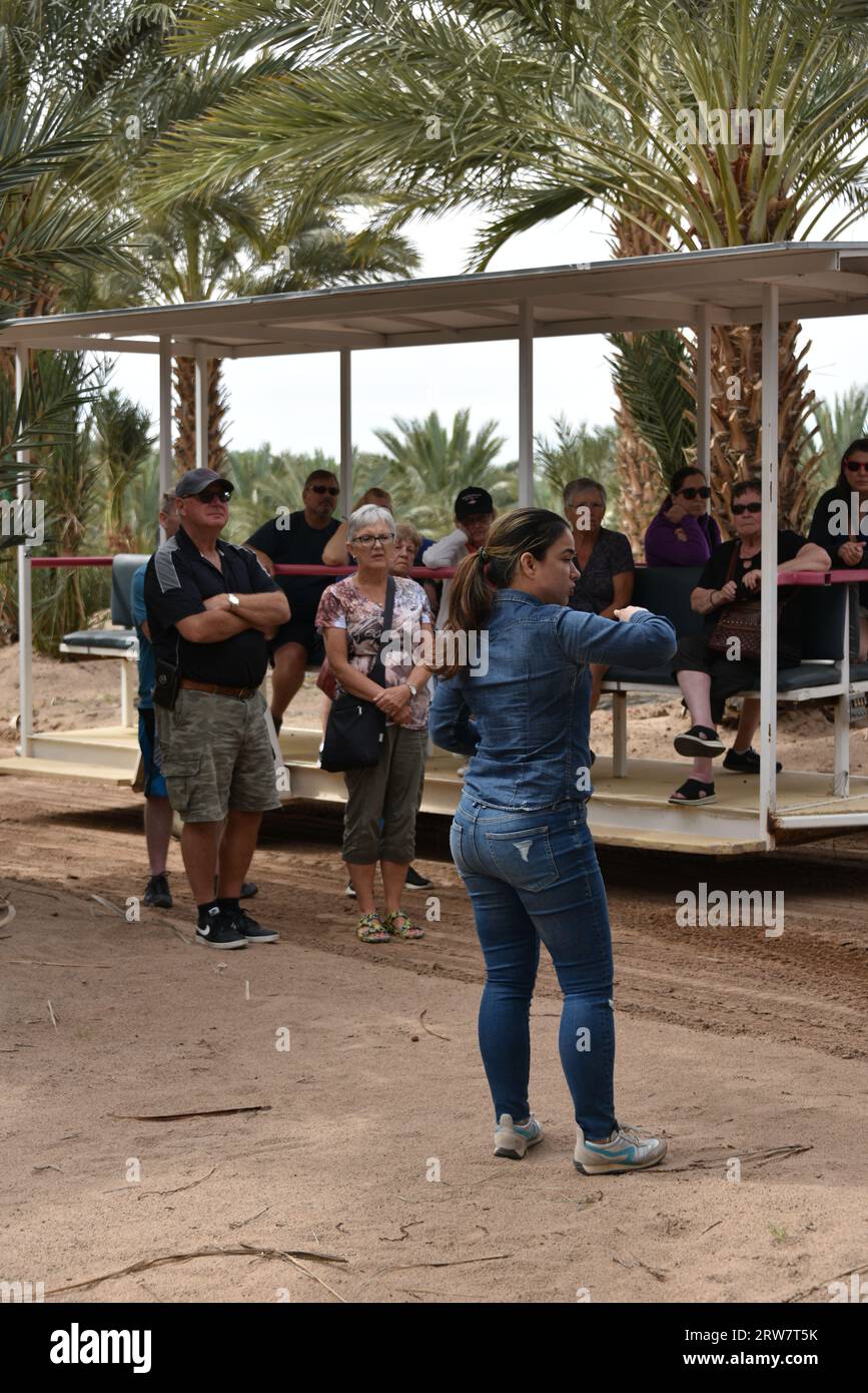 Yuma, AZ USA. 3/14/2023. Martha’s Gardens Medjool Date Farm was founded ...