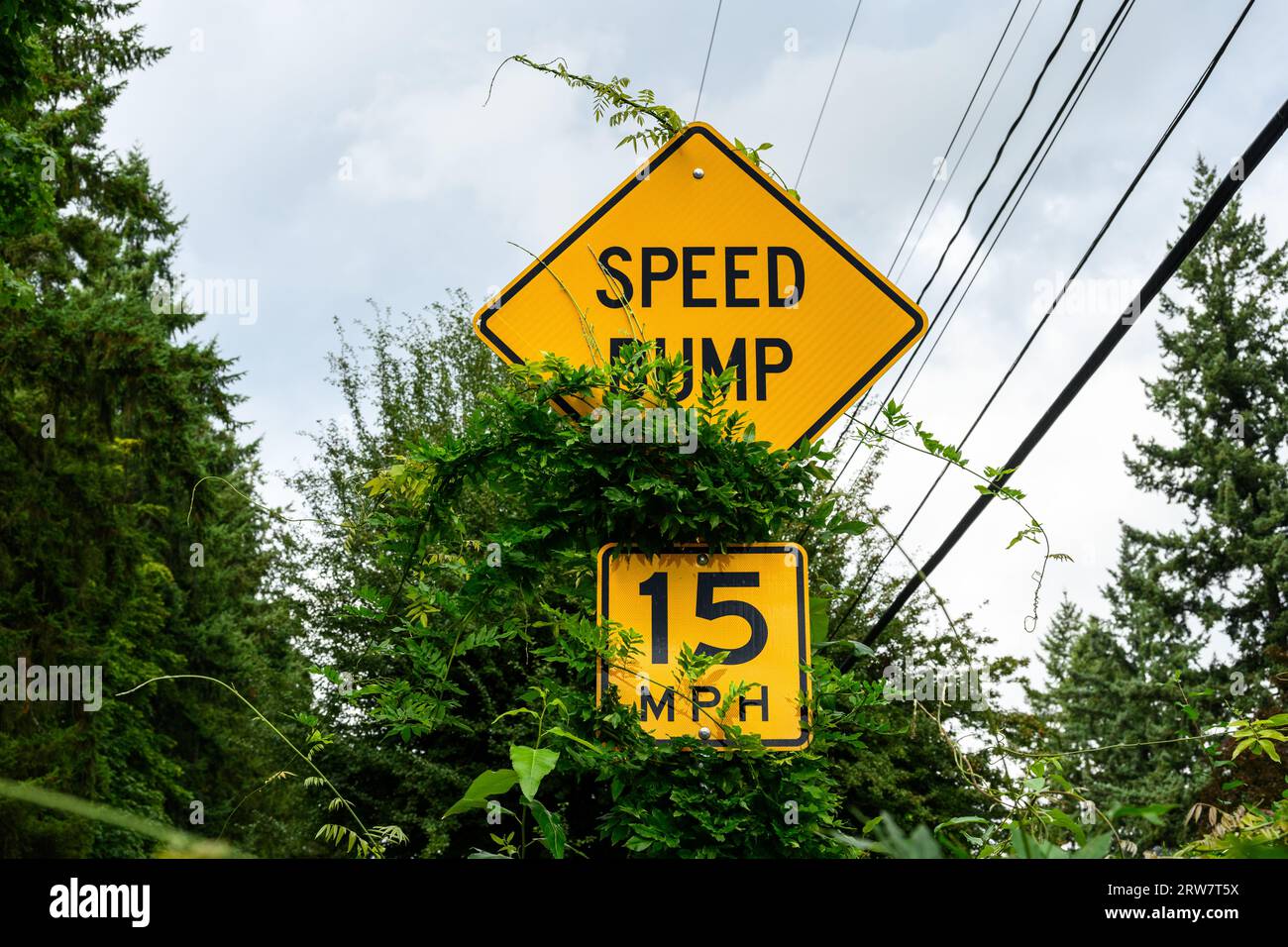 Traffic signs overgrown with plant vines, speed bump and 15 MPH ...