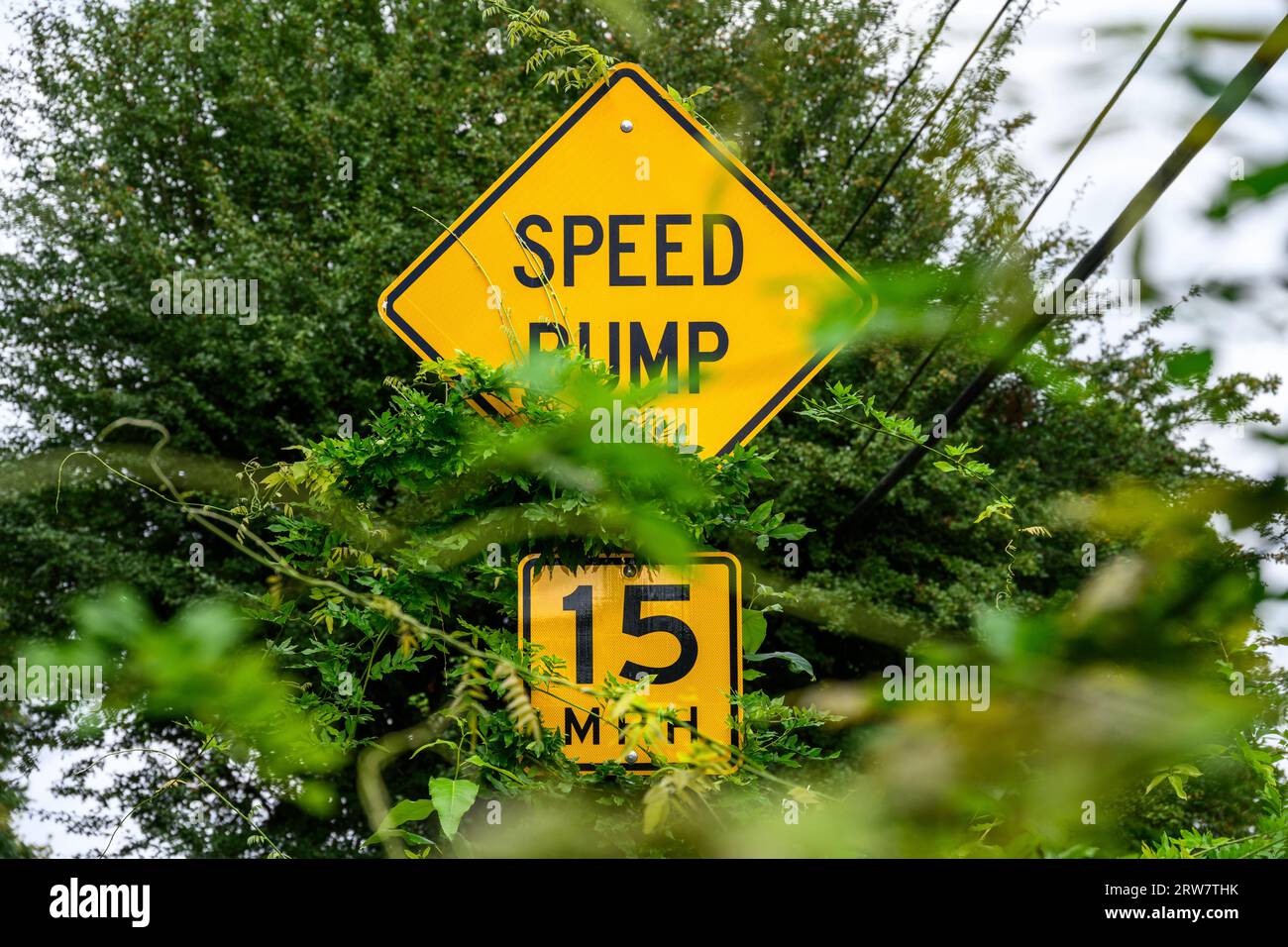 Traffic signs overgrown with plant vines, speed bump and 15 MPH ...