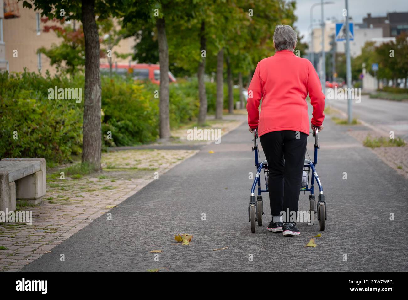 Old woman walking on street with rollator walker Stock Photo - Alamy