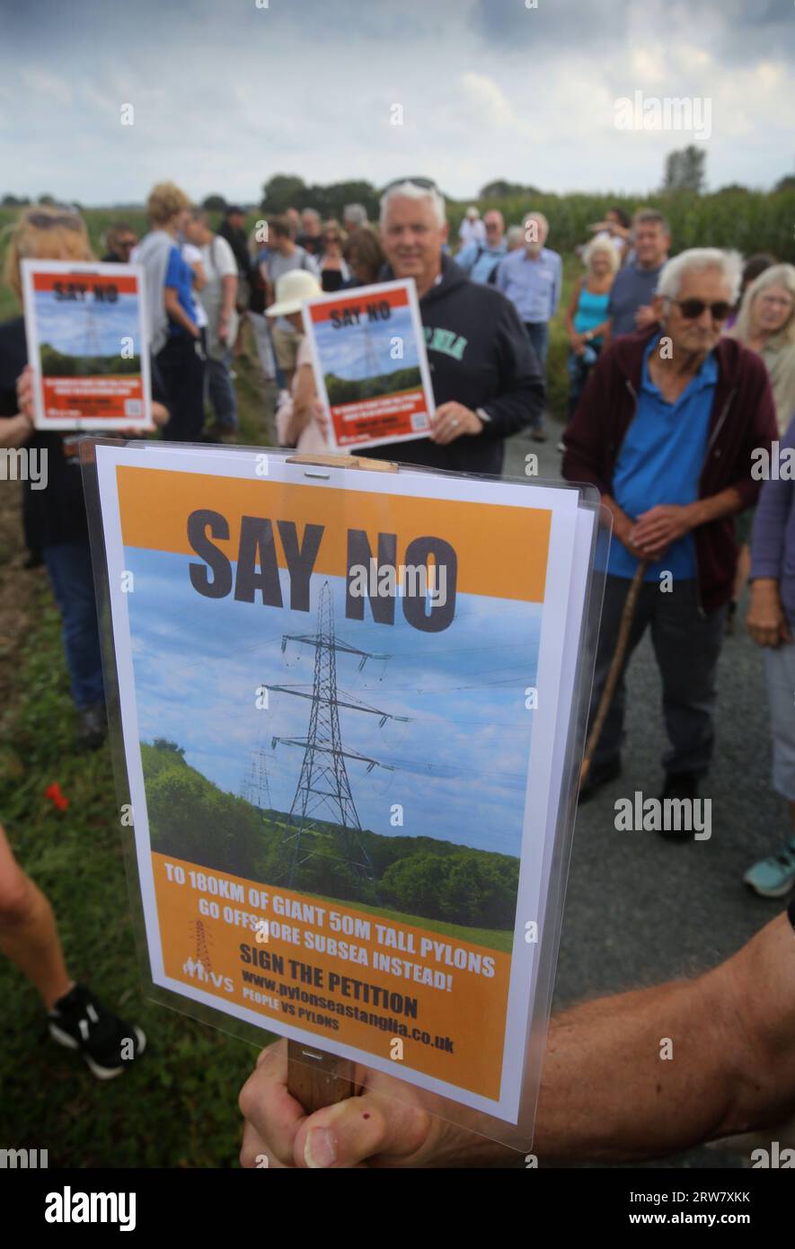 Members of the Essex Suffolk Norfolk Pylons campaign group and other ...