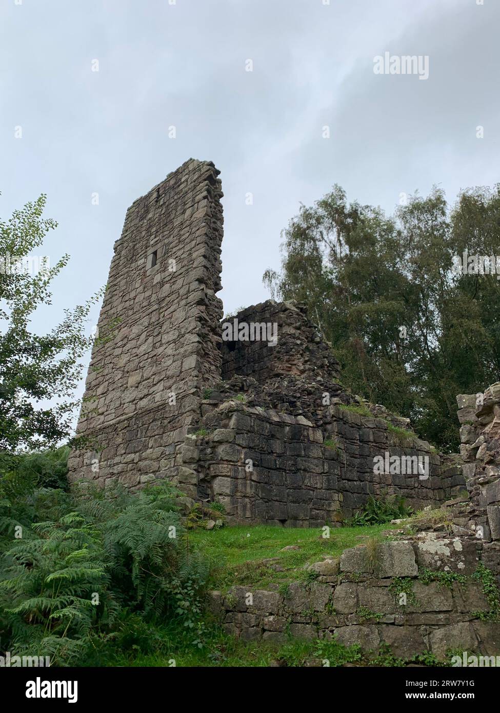 Beeston Castle is a medieval castle in Cheshire, and English Heritage ...