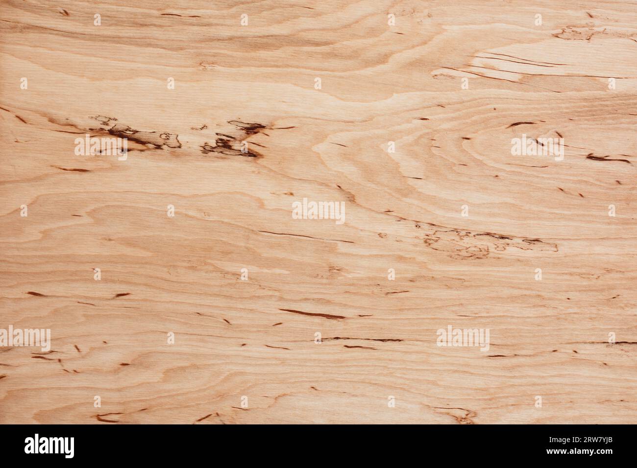 Light natural birch wood texture, plywood, background Stock Photo - Alamy