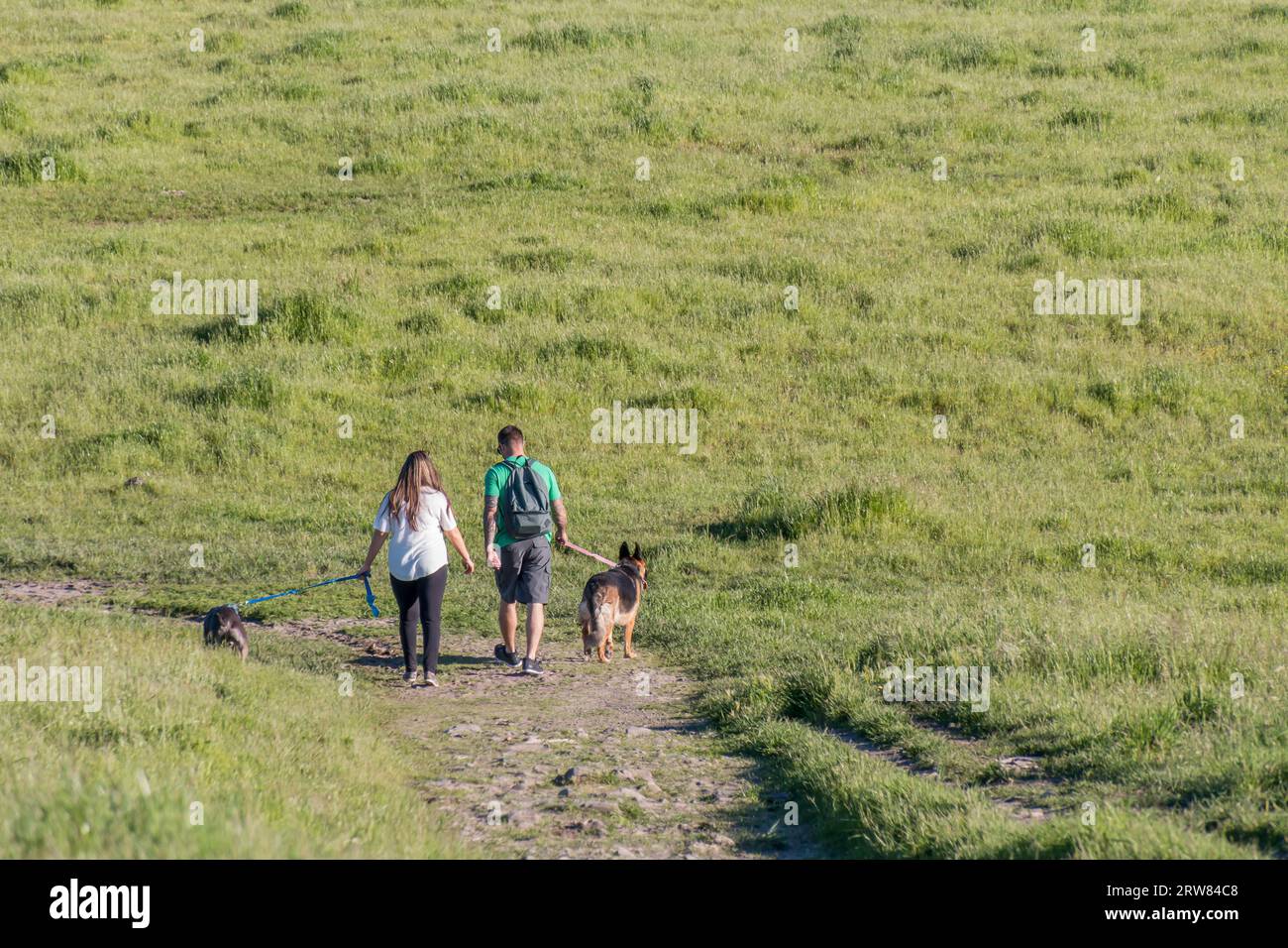 Man walking dog down path hi-res stock photography and images - Alamy
