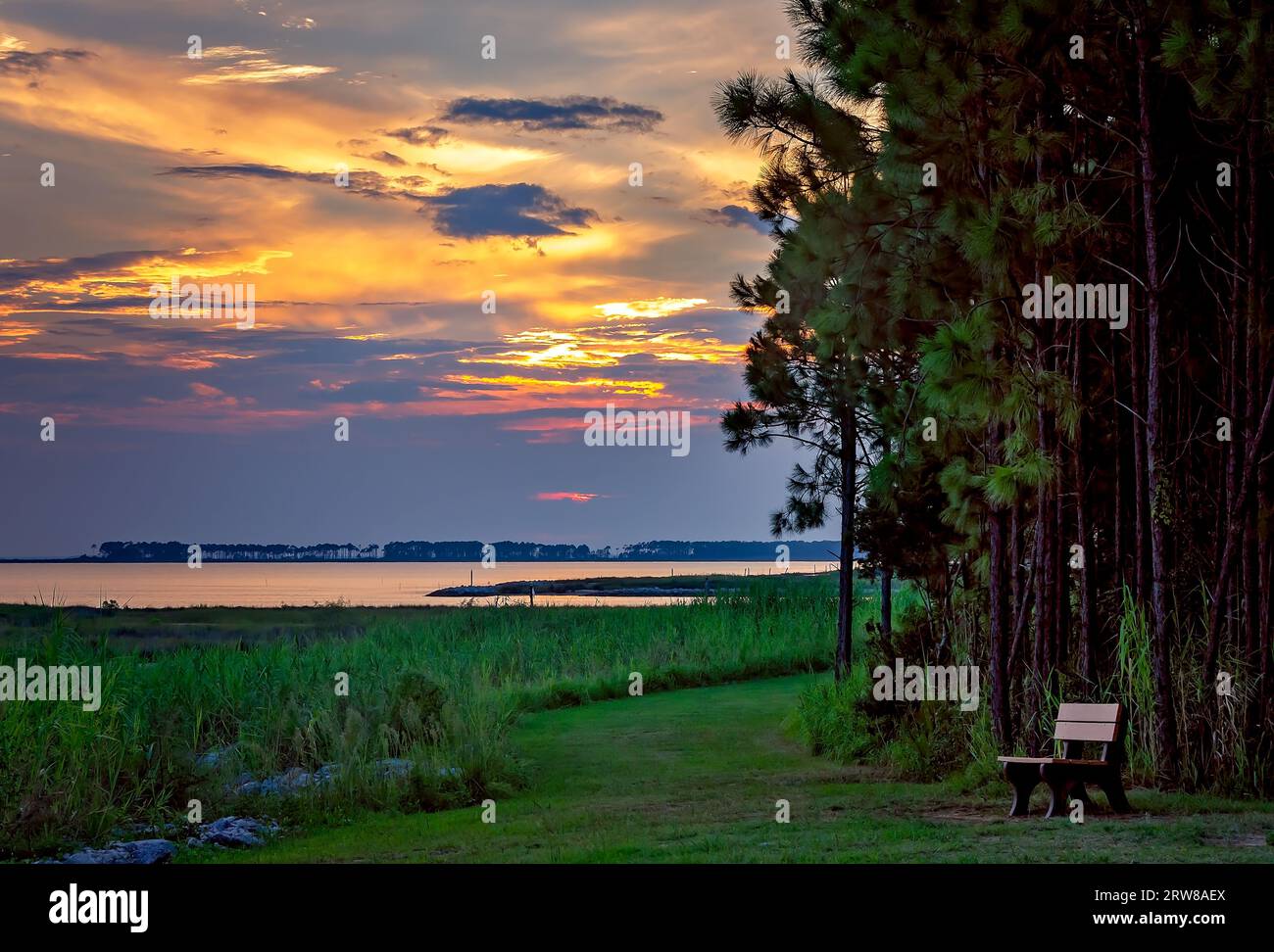 A bench overlooks marshland at Lightning Point, Sept. 14, 2023, in ...