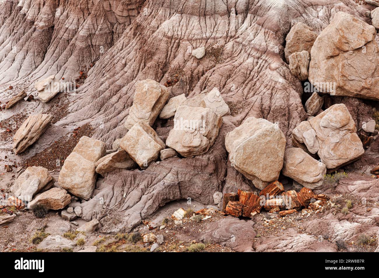Jasper Forest, Petrified Forest National Park, Arizona, USA Stock Photo ...