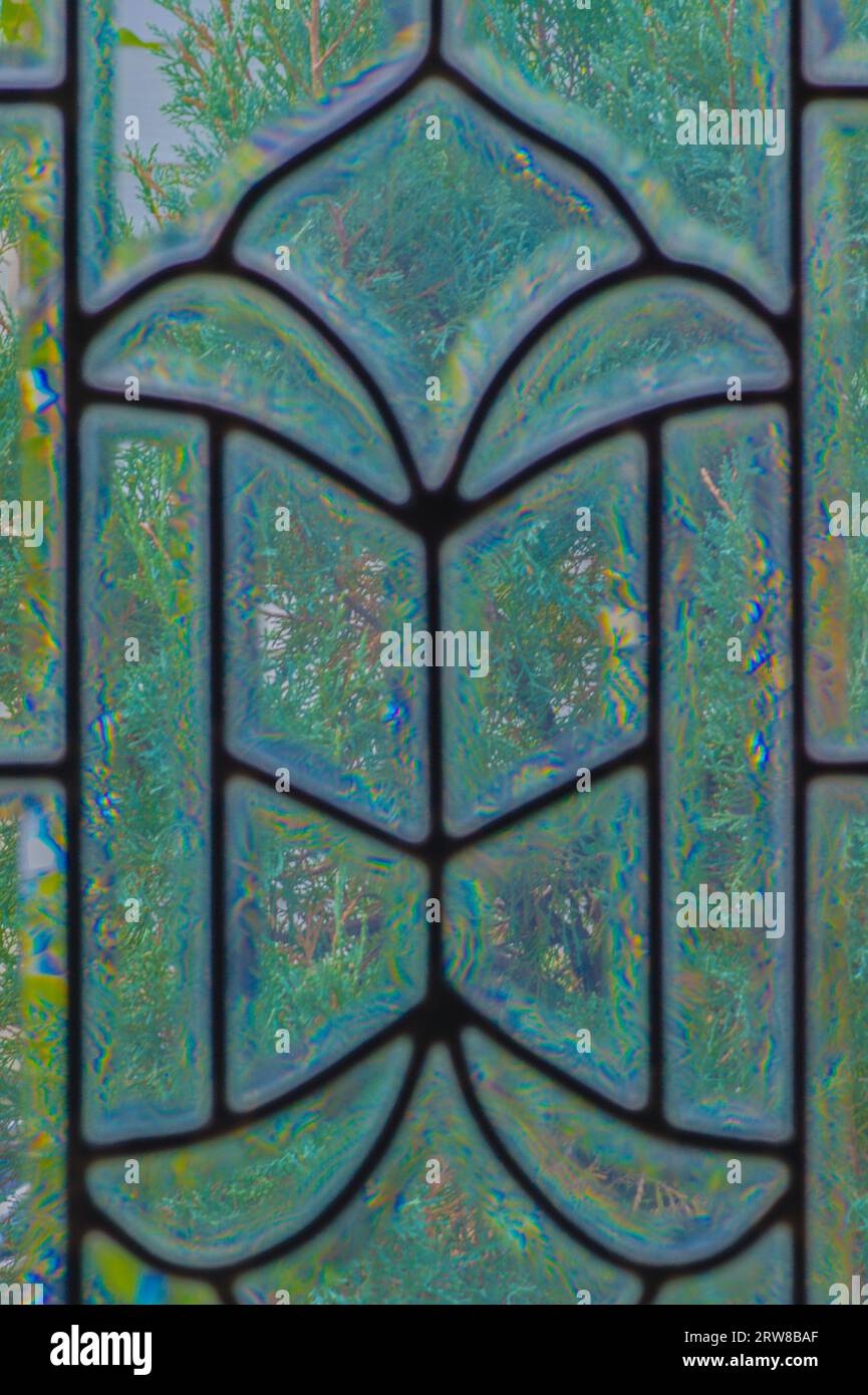 Photo taken through leaded glass panels shows green pine needles. Glass ...