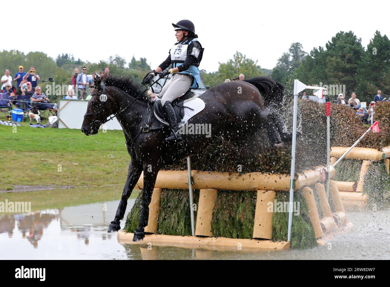 Horse vivienne du carel hi-res stock photography and images - Alamy