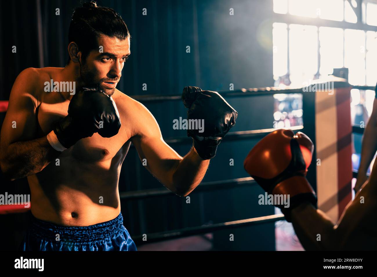 Boxing action in ring hi-res stock photography and images - Alamy