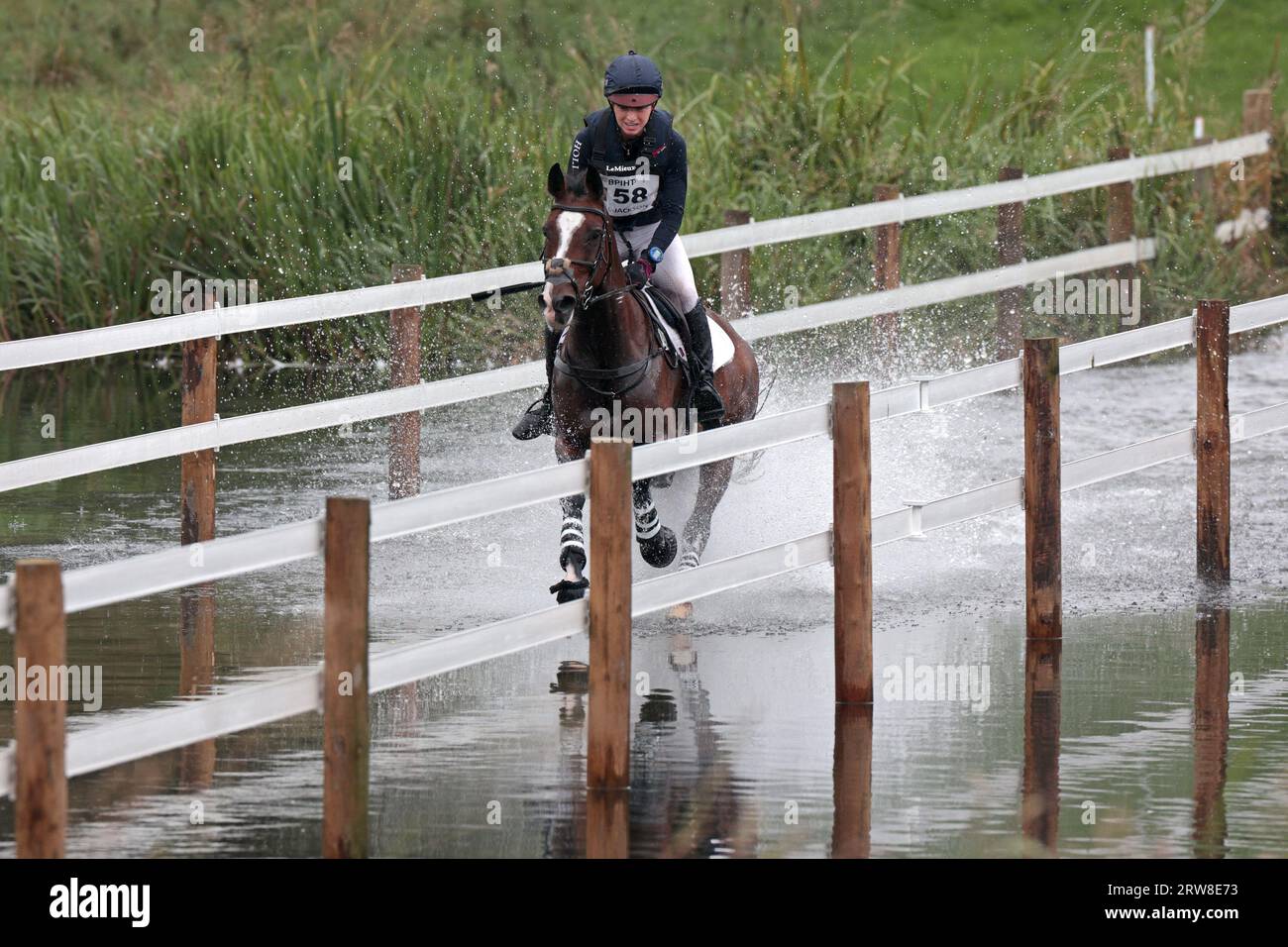 Sammi birch hi-res stock photography and images - Alamy