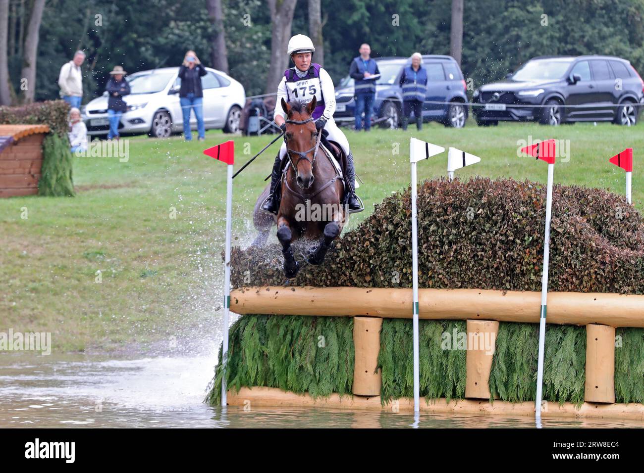 Georgie campbell horse hi-res stock photography and images - Alamy