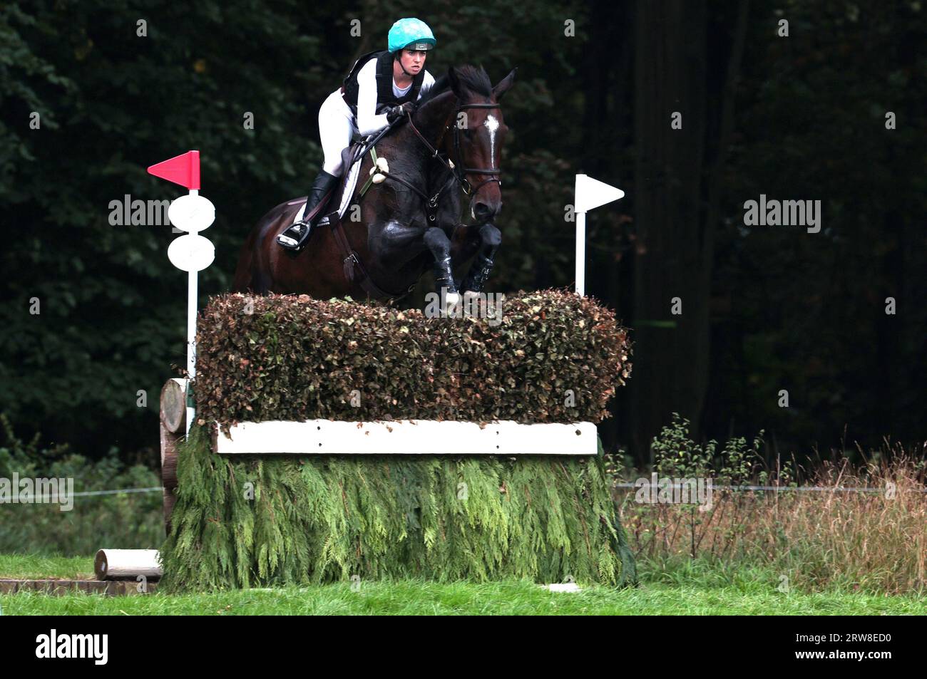 Tayla mason hi-res stock photography and images - Alamy