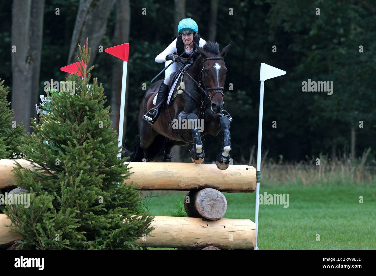 Tayla mason hi-res stock photography and images - Alamy