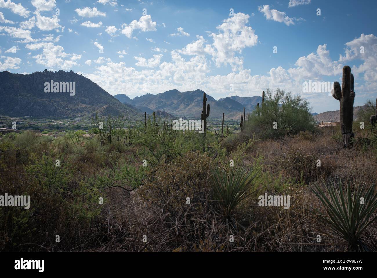Pinnacle peak trail scottsdale hi-res stock photography and images - Alamy