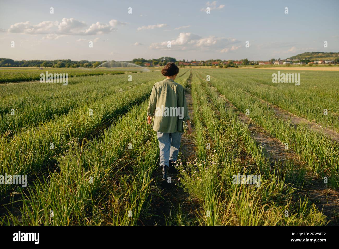 Back view of female farmer walks across an field during harvesting ...