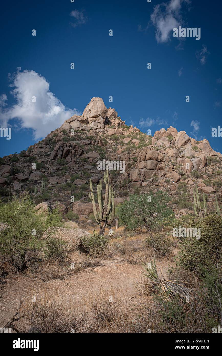 Pinnacle peak trail scottsdale hi-res stock photography and images - Alamy