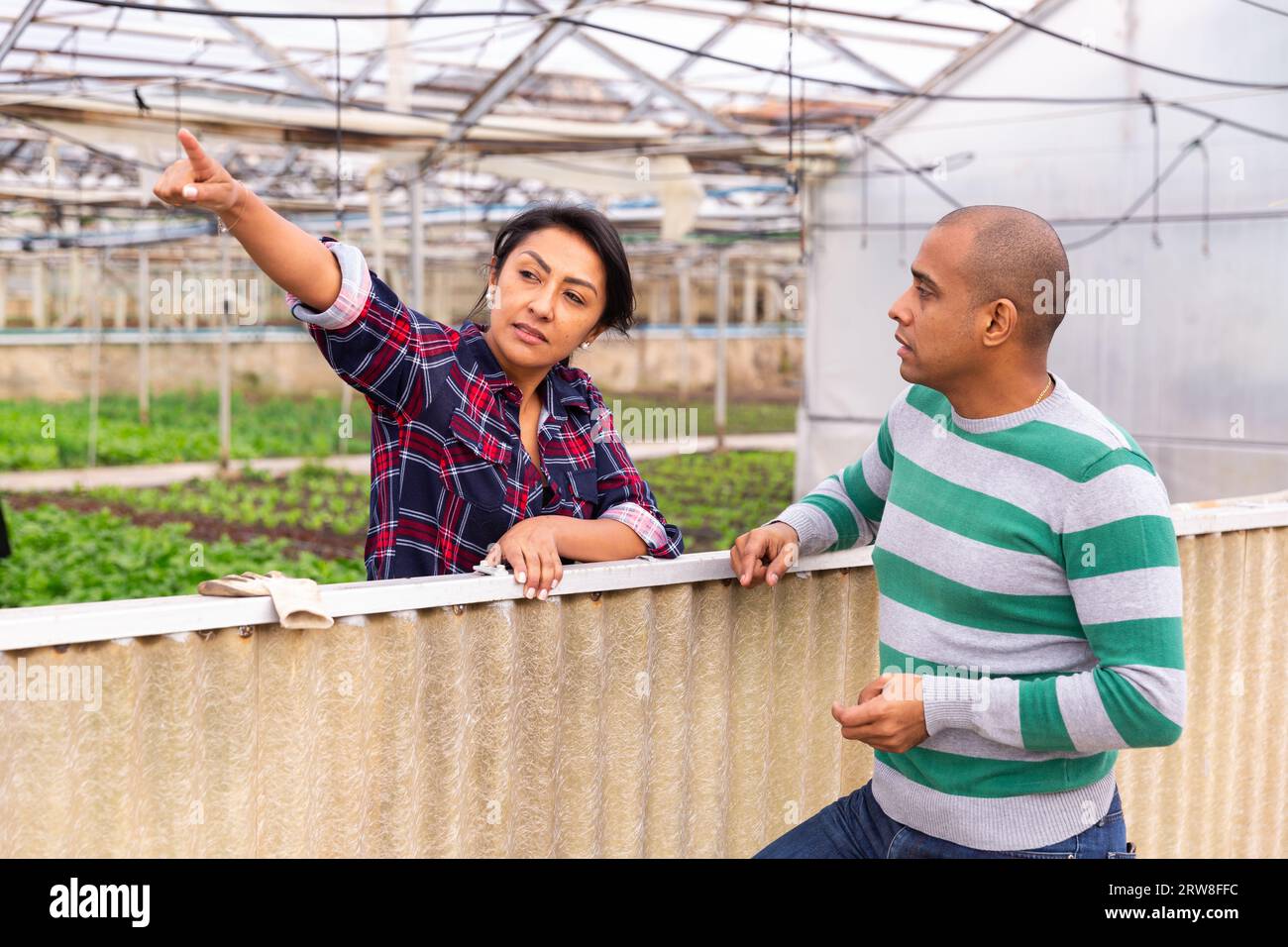 Farm neighbors quarrel over backyard Stock Photo - Alamy