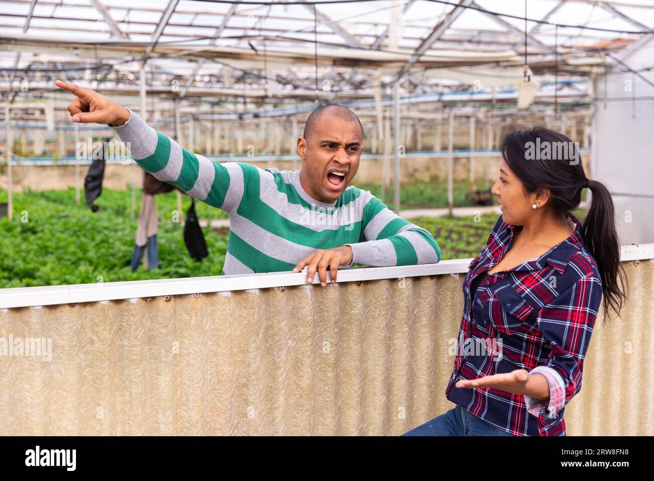 Conflict between neighbors over backyard Stock Photo - Alamy