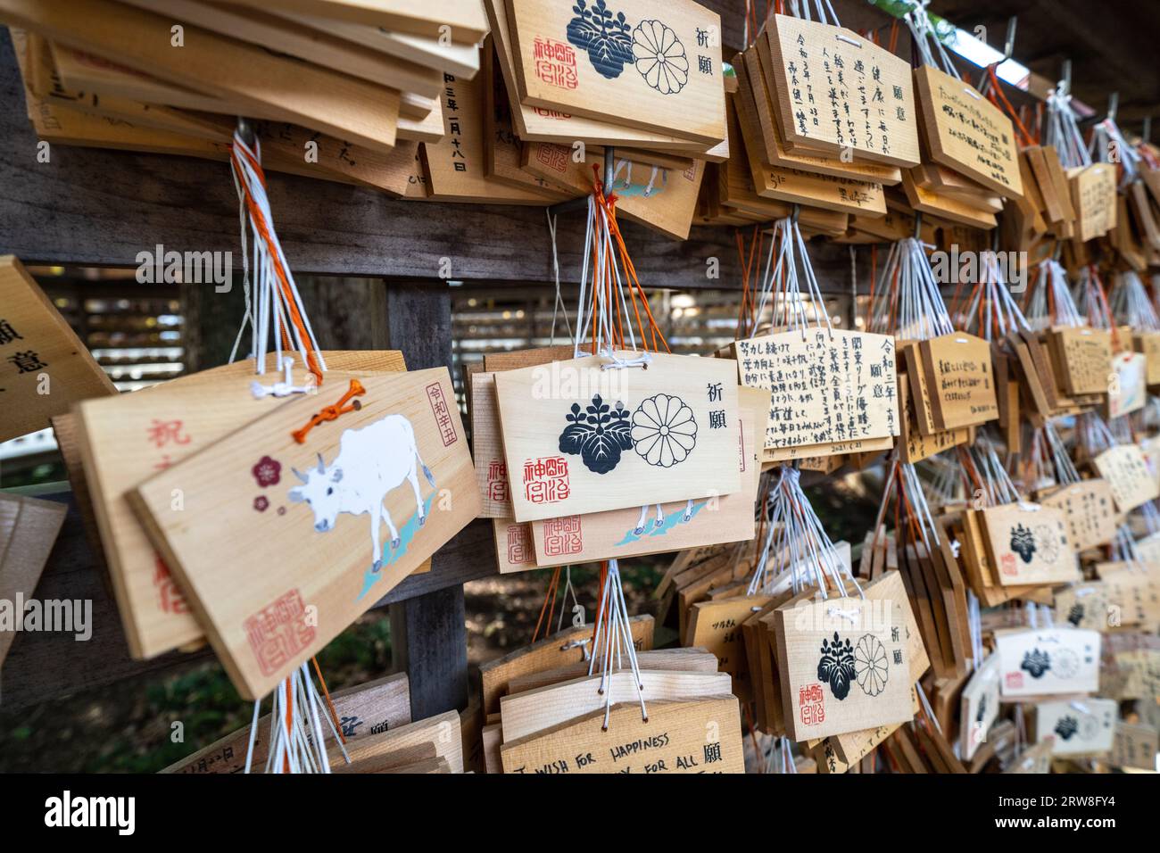 Ema prayer plaques hung at the Meiji Jingu temple, located inside a 170 ...