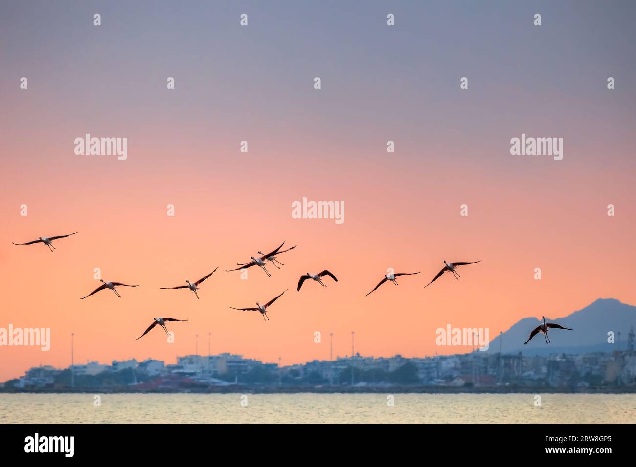 Flying flames hi-res stock photography and images - Alamy