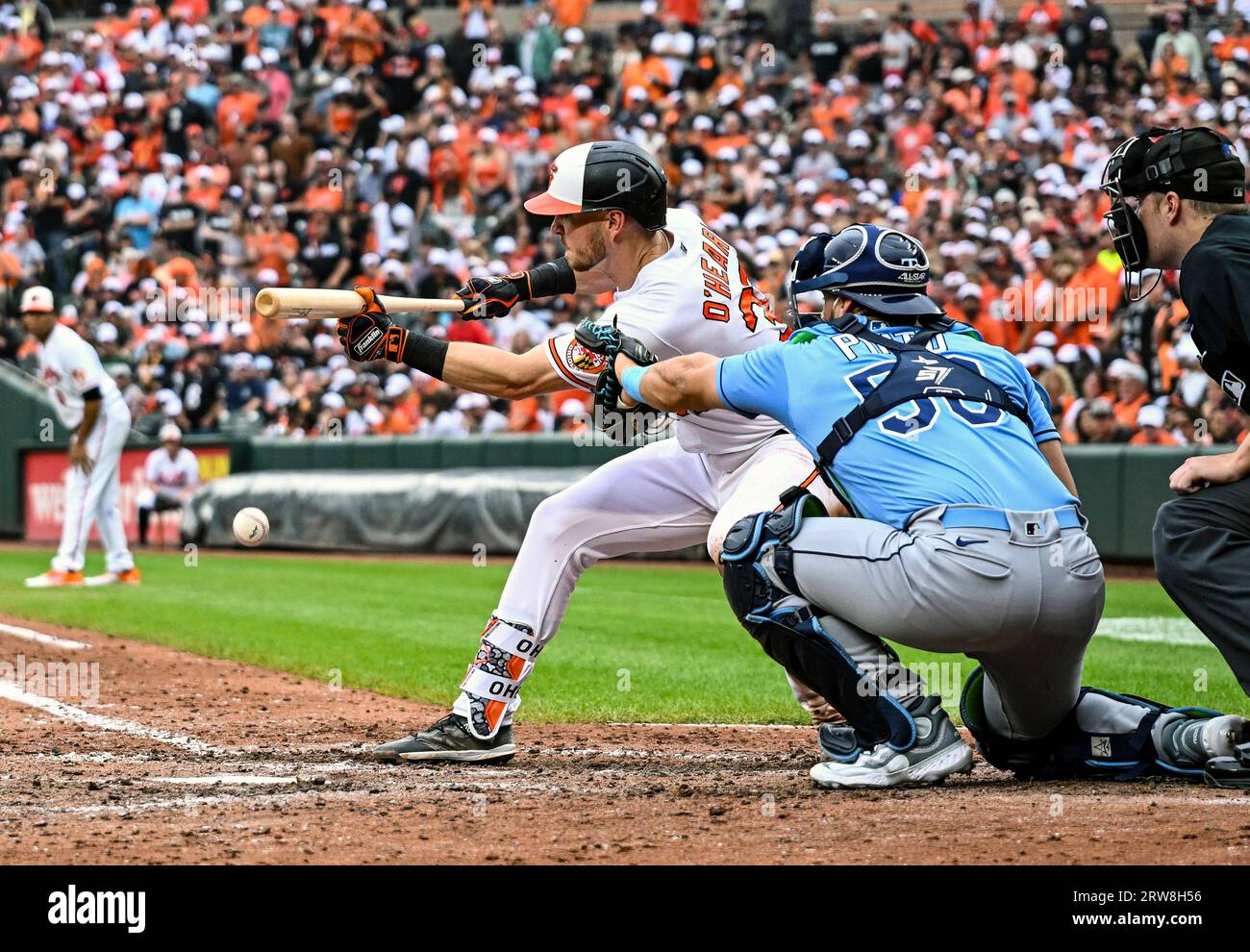 BALTIMORE, MD - September 17: Baltimore Orioles first baseman Ryan O ...
