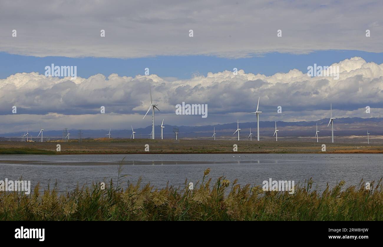 ALASHANKOU, CHINA - SEPTEMBER 16, 2023 - Wind power continues to be ...