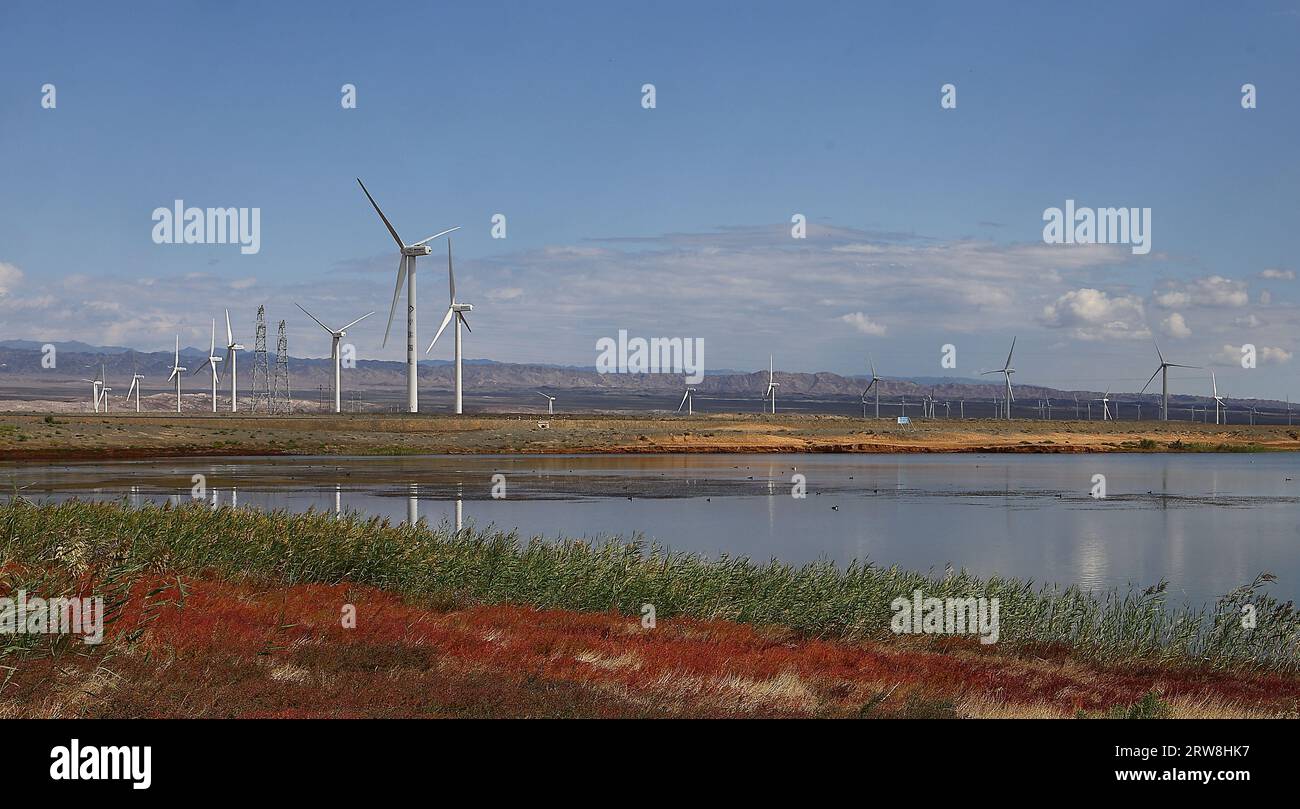 ALASHANKOU, CHINA - SEPTEMBER 16, 2023 - Wind power continues to be ...