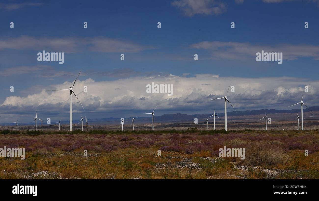 ALASHANKOU, CHINA - SEPTEMBER 16, 2023 - Wind power continues to be ...