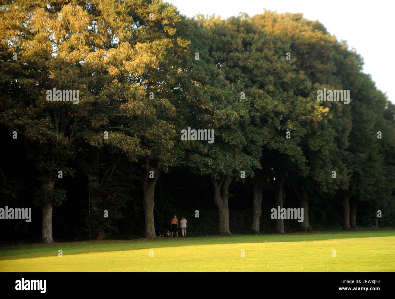 ENGLAND COASTAL PATH, BATH LANE, FAREHAM, HANTS. PIC MIKE WALKER 2023 ...
