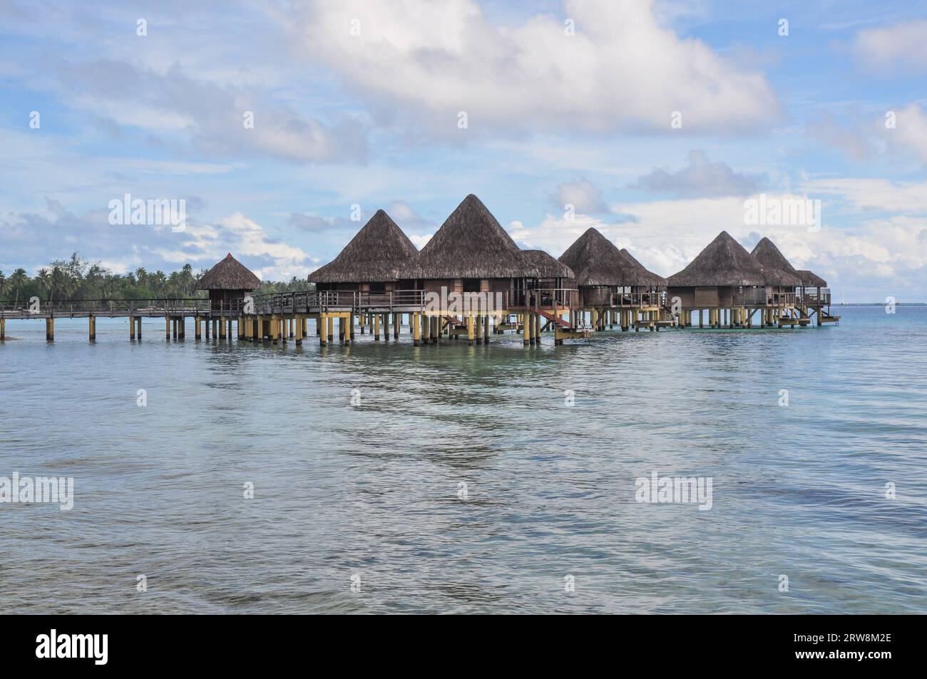 Hammock rangiroa french polynesia hi-res stock photography and images ...
