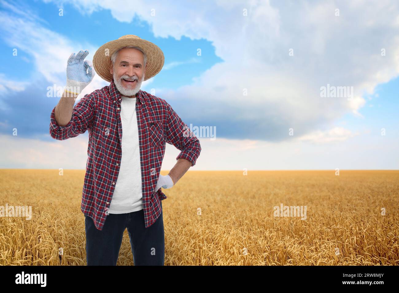 Happy senior farmer showing field hi-res stock photography and images ...