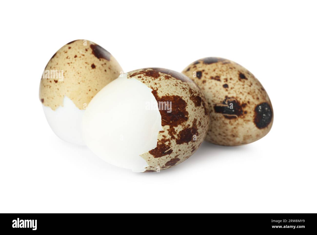 Boiled quail eggs in shell isolated on white Stock Photo - Alamy