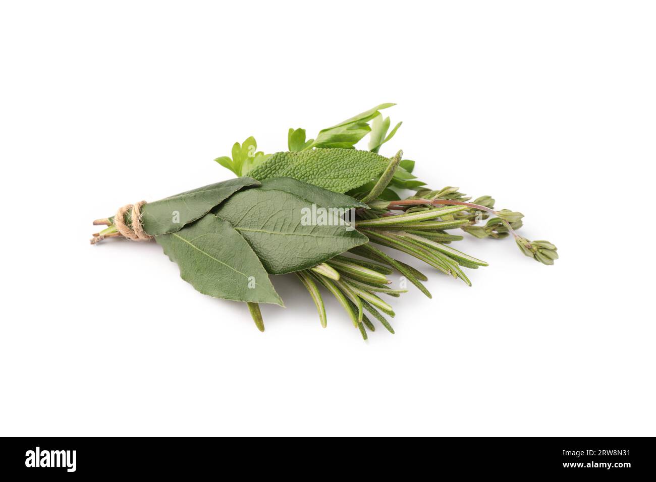 Bundle of aromatic bay leaves and different herbs isolated on white ...