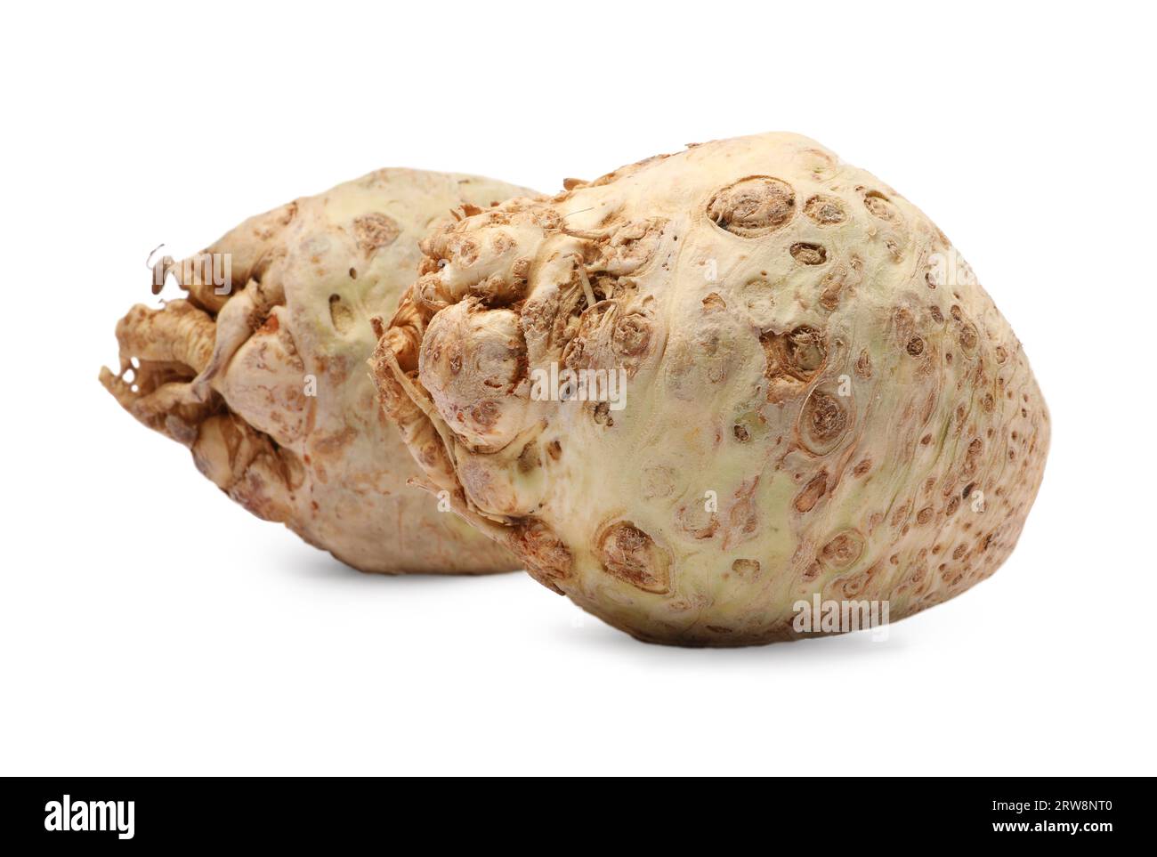 Celery roots hi-res stock photography and images - Alamy