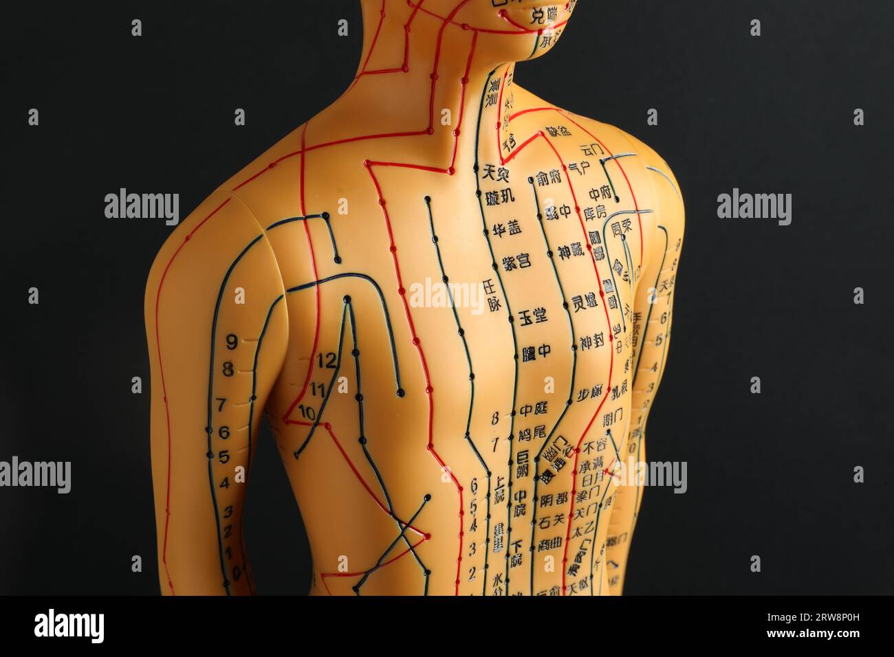 Acupuncture model. Mannequin with dots and lines on black background ...