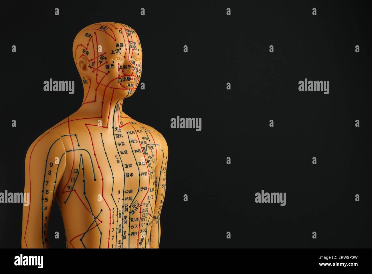 Acupuncture model. Mannequin with dots and lines on black background ...