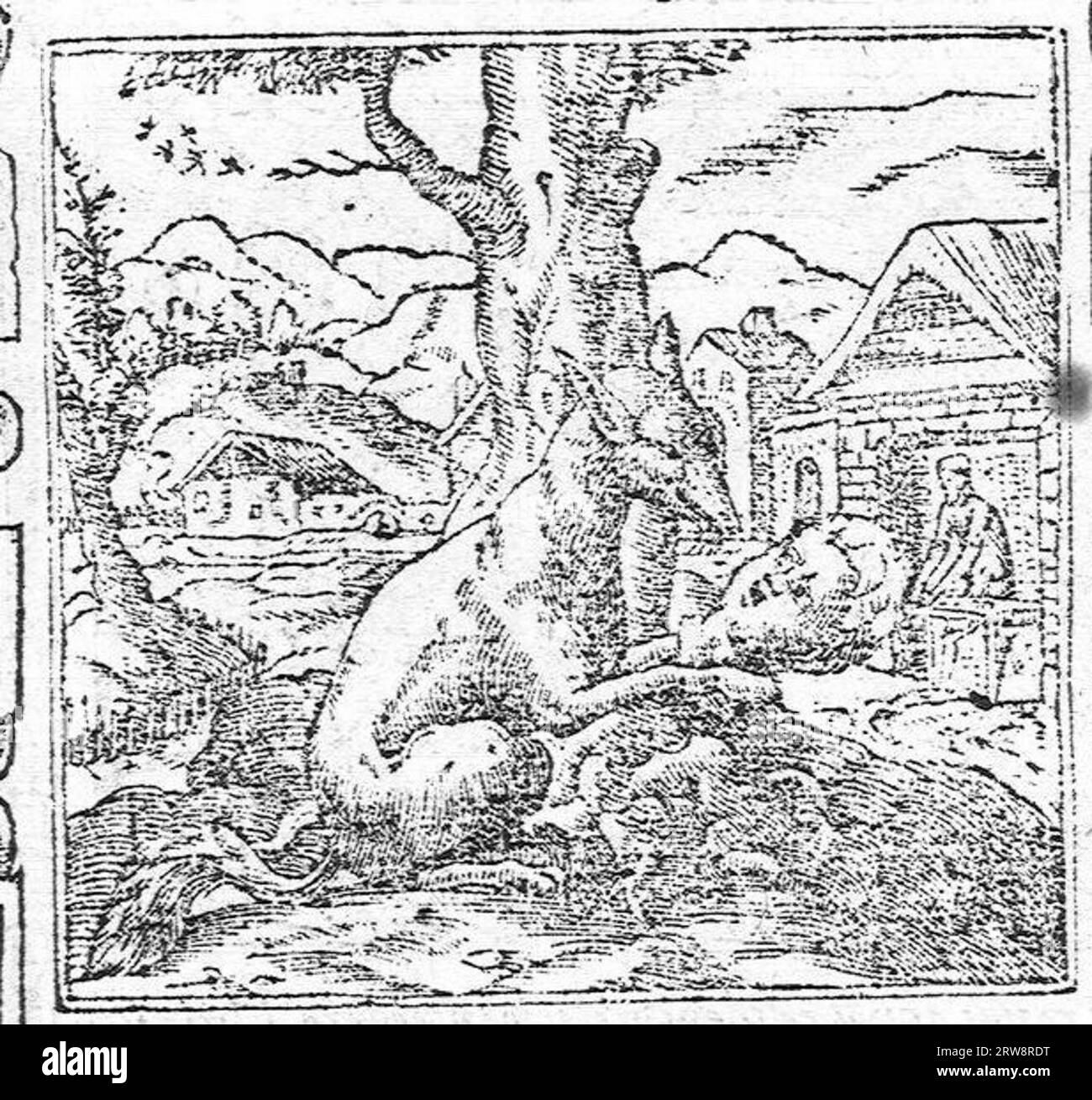 Alciati hi-res stock photography and images - Alamy