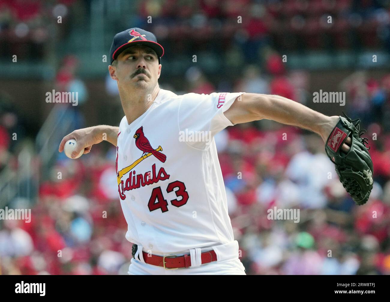 St. Louis, United States. 21st Sep, 2023. St. Louis Cardinals starting ...