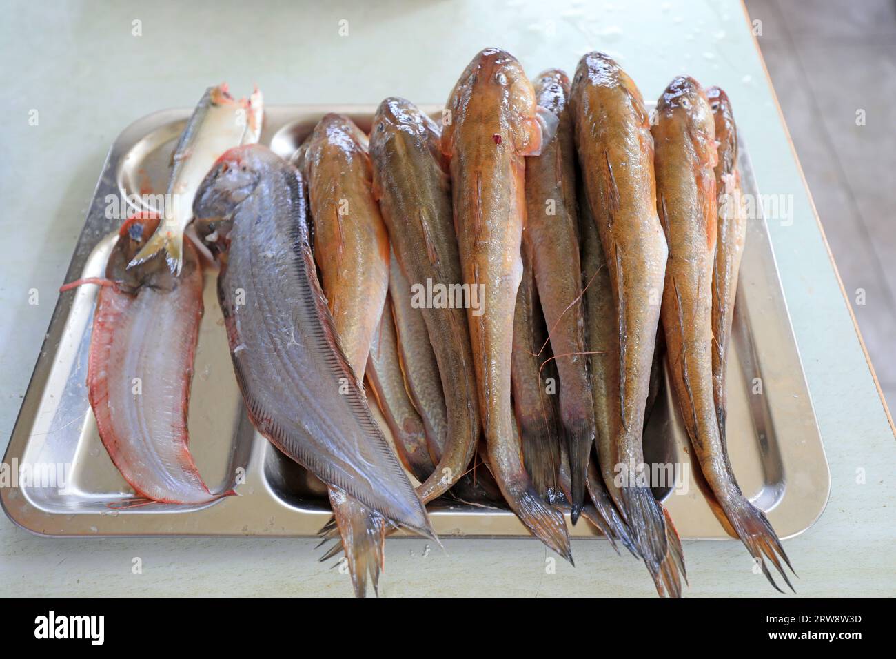 The sea fish are in a metal tray Stock Photo - Alamy