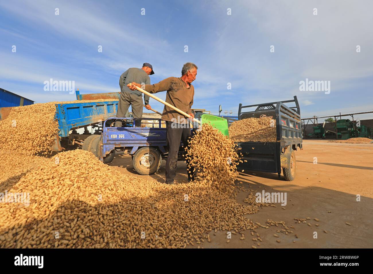 Peanuts drying hi-res stock photography and images - Alamy