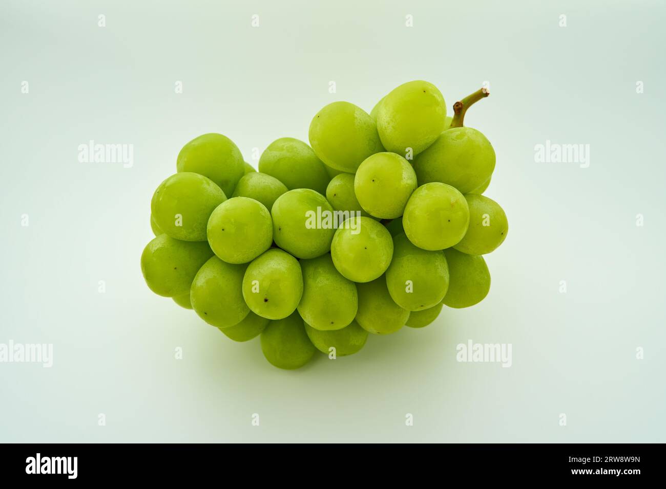 A single Shine Muscat grape with a mango flavor on a white background ...