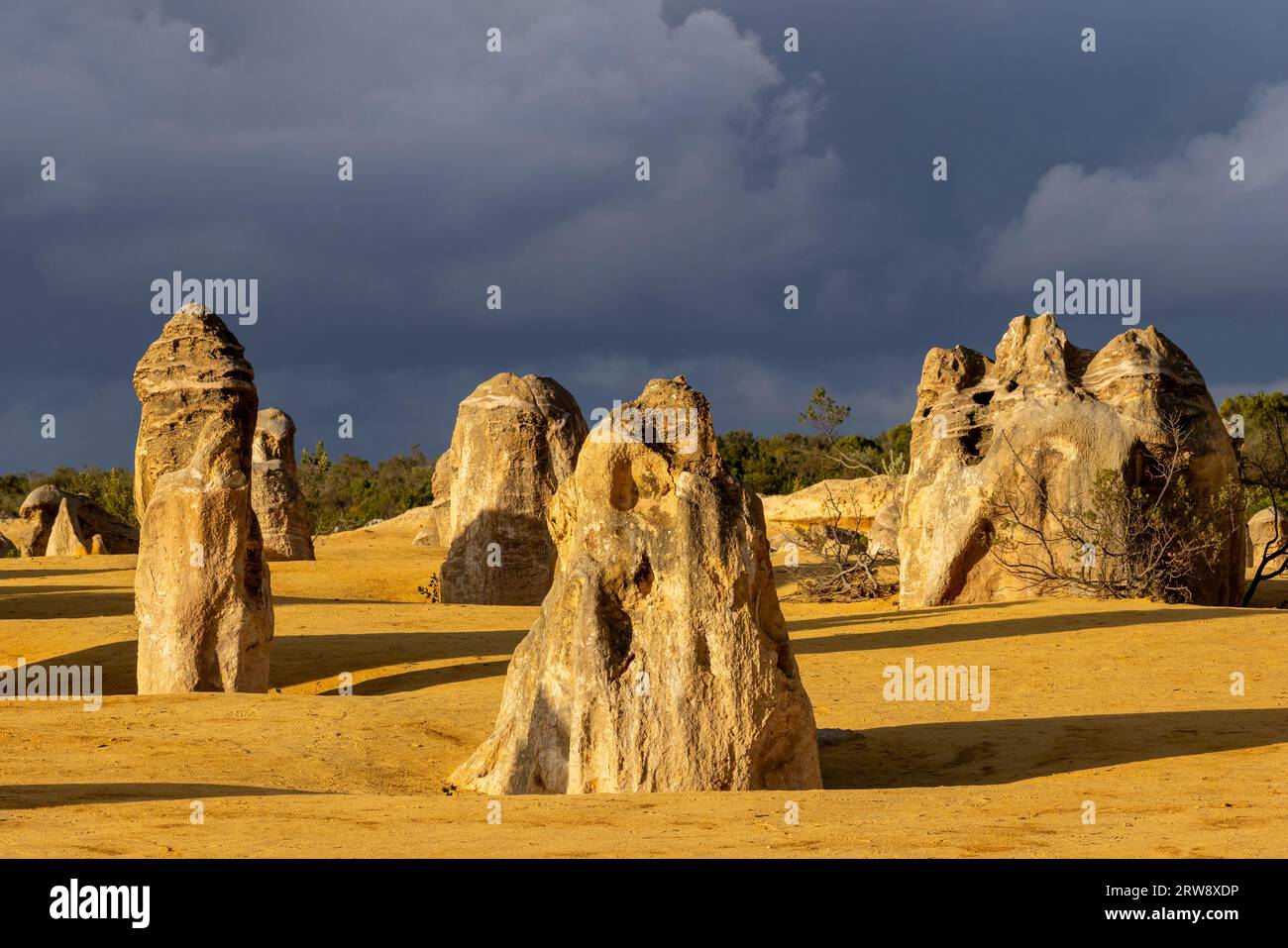 Pinnacles Desert, Nambung National Park Western Australia Stock Photo ...